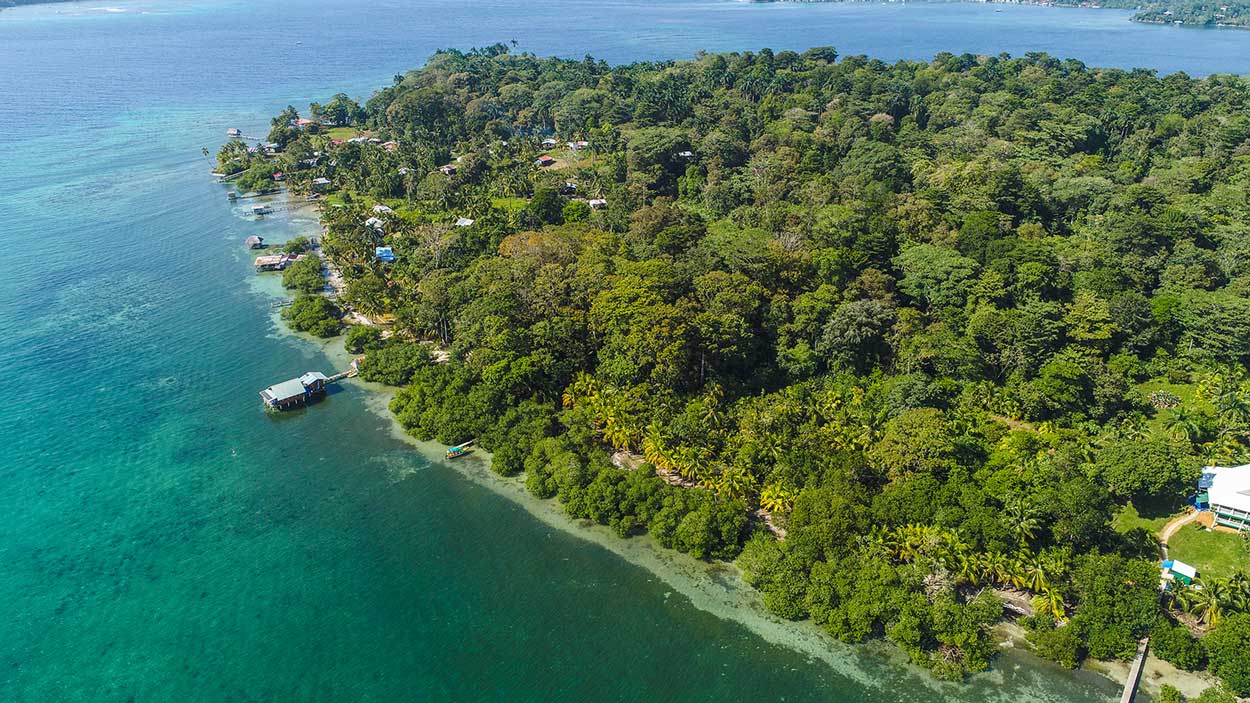 Isla Solarte | Bocas del Toro Islands | Visit Bocas del Toro